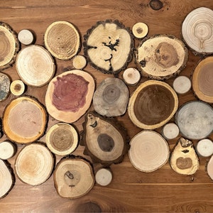 SCRAP Mini Wood Logs 10-16ct, Seconds Wood for Crafts, Tree Supply ...