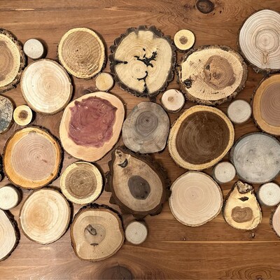 SCRAP Mini Wood Logs 10-16ct, Seconds Wood for Crafts, Tree Supply ...