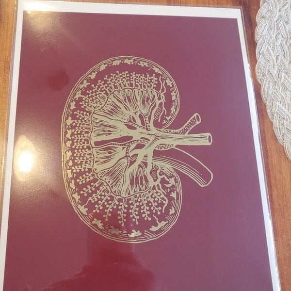 Gold Kidney Anatomy Art Print: Transplant Gift - Etsy