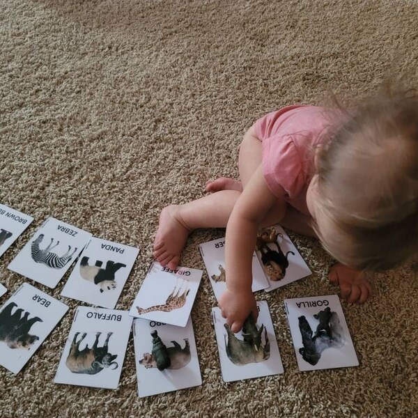Body Parts Cards Montessori Materials Homeschool Body Part Real ...
