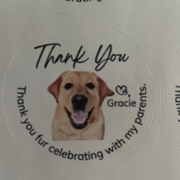 Wedding Stickers, Dog Wedding, Pet Photo Gift, Thank You Sticker ...