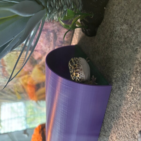 Zoo Med Basking Bulb 100w 2 Pack - Etsy