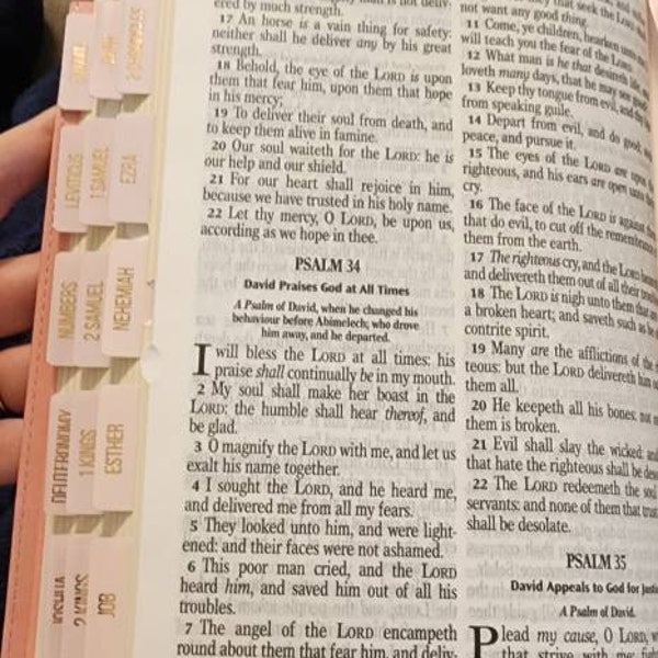 Pink Faux Leather KJV Bible: Rose Gold Tabs, Giant Print - Etsy