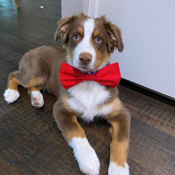 Monster Patches, Red Monster Patch, Birthday Patch, First Birthday ...