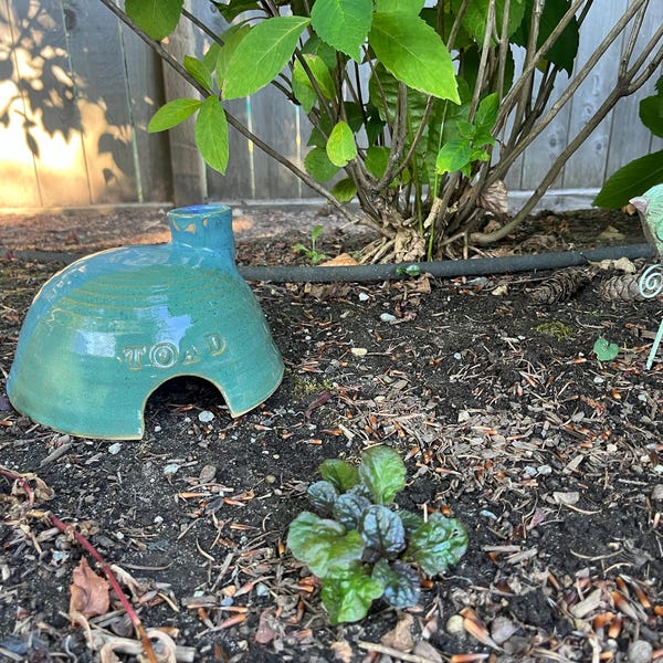 Toad House Made-to-order - Etsy