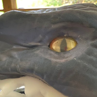 Color Changing Animated Cat Glass Eyes Holographic Cabochons 16mm to ...