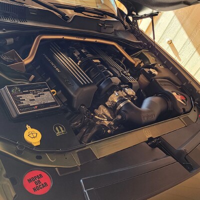 Ecoboost Ecobeast Decals for Ford Vehicles - Etsy