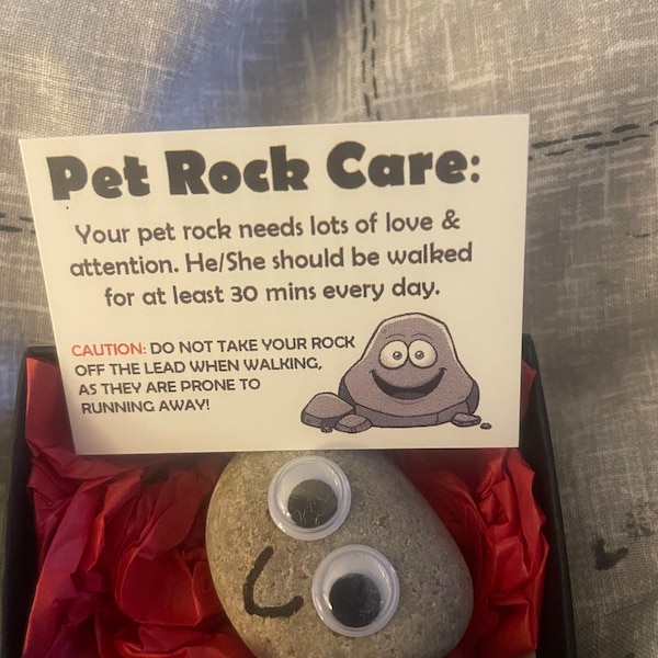 Small Pet Rock With Carry Case & Care Guide - Fun Novelty Gift for ...