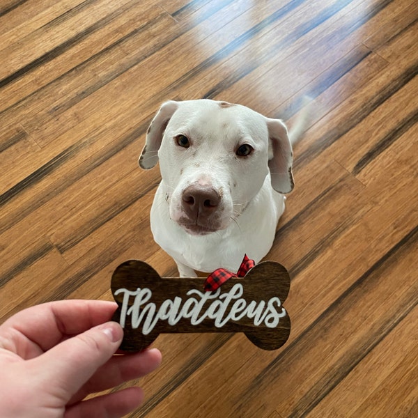 RD Card, Registered Dietitian Card, Registered Dietitian Gift, New RD ...