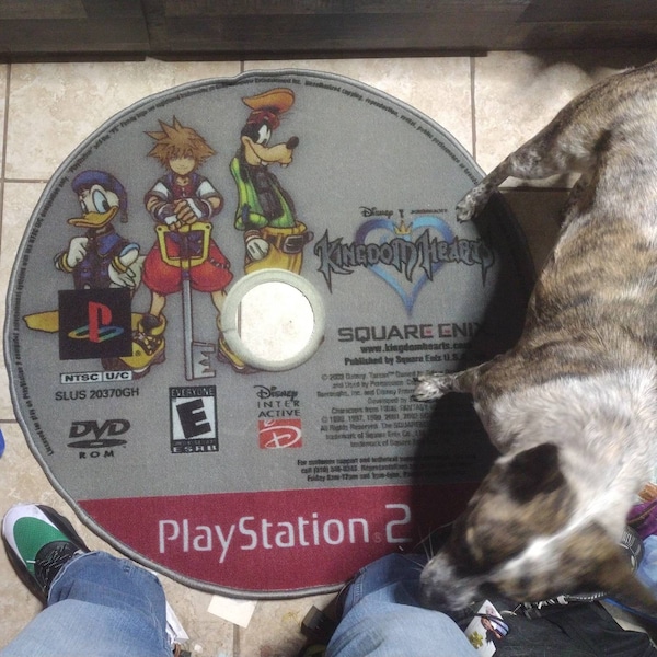 Sonic Adventure Rug: Dreamcast Game Disc Rug - Etsy