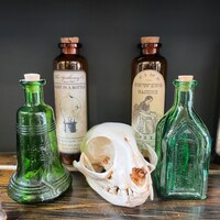 Vintage Coaster Set Deborah K. Ellis Watercolour Print Set of Six ...