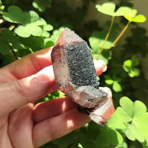 Ferruginous Quartz With Crystallised Epidote From the San Felipe Mine ...