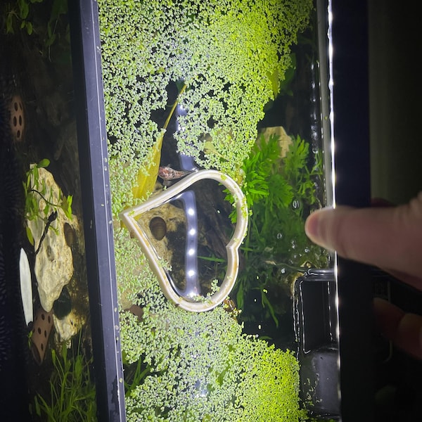 Aquaneat LED Light Riser, Attractive Stable Elevated Stand, Quality LED ...