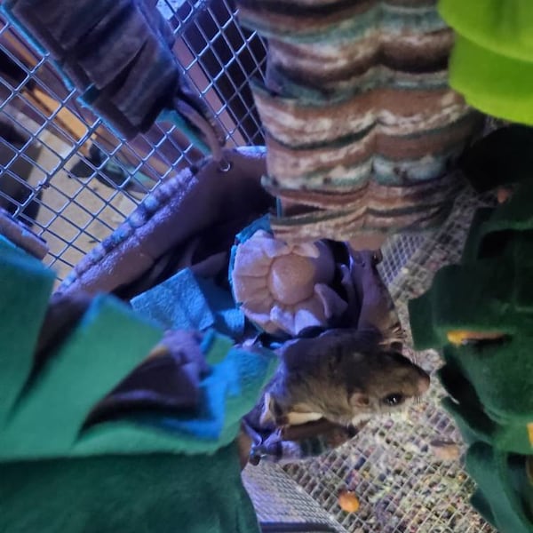 Snuggle Ball Pit; Large Fleece Reversible Hanging Pouch, Includes 4 ...