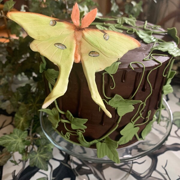 Luna Moth Cake Topper, Gumpaste Cake Decoration - Etsy