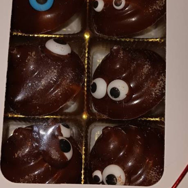 Chocolate Emoji Poop, 6 Pack, Gift Boxed, Crap, Shit, Turd, Insulting ...
