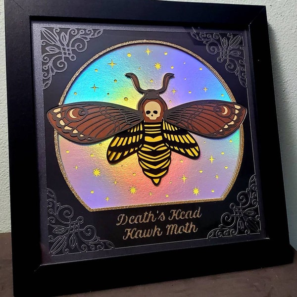 3D Death's Head Hawk Moth Shadow Box, Death Head Moth 3D SVG, Butterfly ...