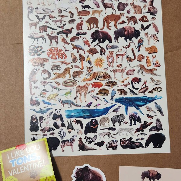 Animals of Yellowstone National Park 11x14 - Etsy