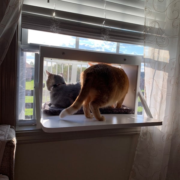 Cat Solarium Conservatory Package the Ultimate Cat Window Box. Cat ...