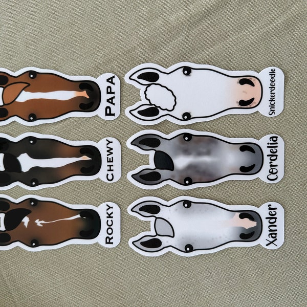 Custom Horse Sticker With Name, Horse Stickers, Gift for Equestrian ...