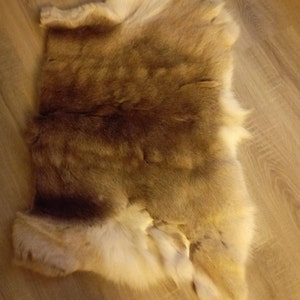 Real Giant European Wild Boar Skin Hooves Hide Pelt Area Rug Hide ...