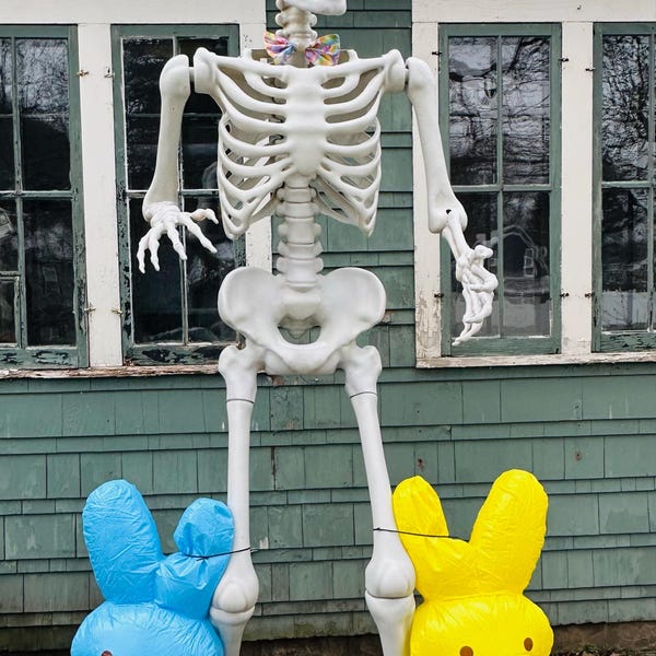 12 Ft Skeleton Pirate Costume!!!! (skelleton Not Included) - Etsy