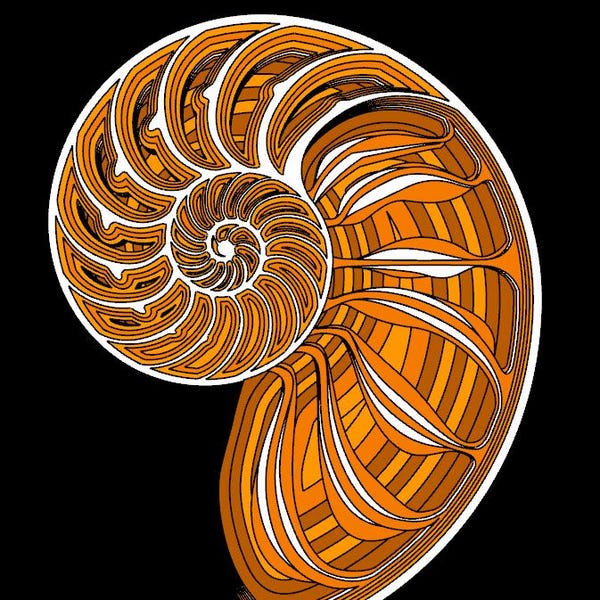 HONDA S2000, Layered Digital File, Download SVG, AI, Automotive - Etsy