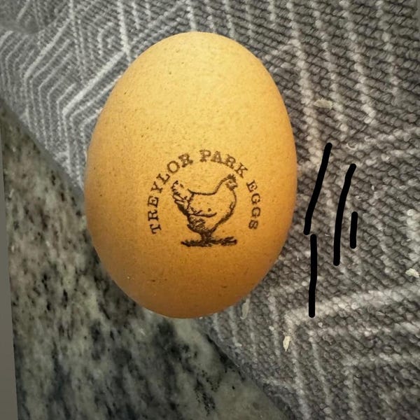 Mini Egg Stamp | Homesteading | Farm Stamp | Egg Marking | Egg Stamper ...