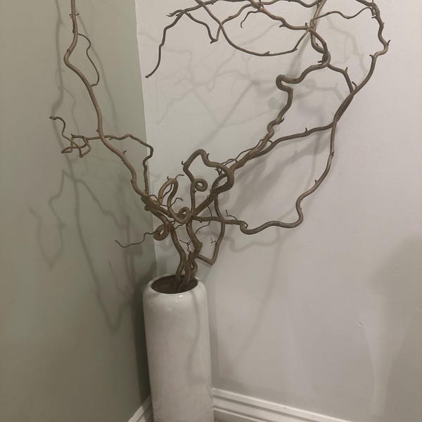 Long Twisted Hazel Branches, Corylus Twigs for Vase, Japandi Branches ...