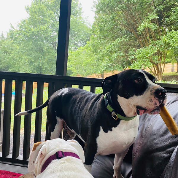 2 Pack of Aloha Crunch Bites. Churpi Yak Himalayan Puffs Infused With ...