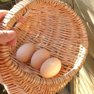 Glencairn Jacobite Whisky Glass the Jacobite Dram Glass - Etsy UK