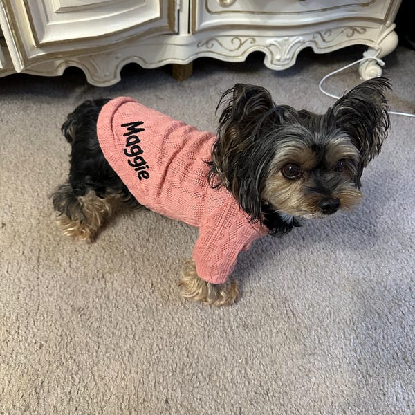 Personalized Dog Sweater Embroidered Puppy Shirt With Pet Name Xs ...