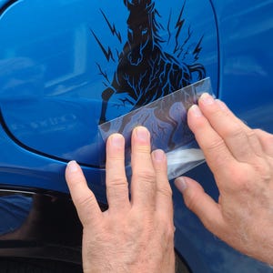 Pheasants Birds Quail Duck Hunting Game Novelty License Plate Car Truck ...