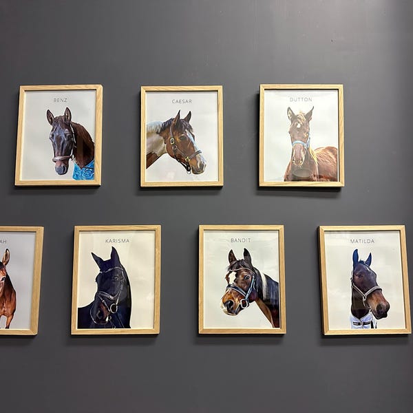 Horse Physical Assessment Form | Horse Bodywork | Equine Form | Horse ...