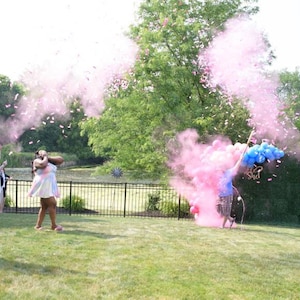 1LB Pink & 1 LB Blue Gender Reveal Powder in Pink Blue Green - Etsy