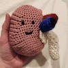 Anatomical Kidney Crochet Pattern! PATTERN ONLY Instant DOWNLOAD ...