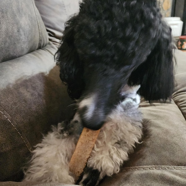 Stuffed Beef Gullet Sticks Dog Chews! Try Them! - Etsy