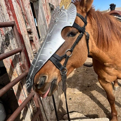 Roman Warrior Horse Chanfron Face Armor Medieval Equine Armor Barding ...