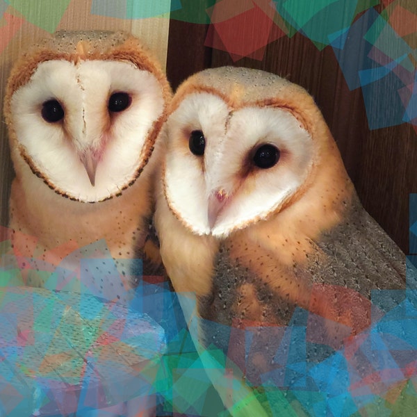 Raven Incense Holder, Backflow Burner Valravn, Crow Backflow Incense ...