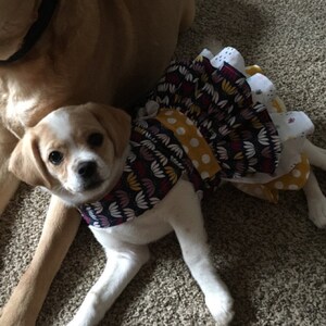 Isabella Dog Dress LARGE & XLARGE Sewing Pattern PDF Dog - Etsy