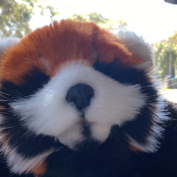 Chongker Plush 3LB Weighted Cat Tracy Realistic Plush Cat Handmade ...