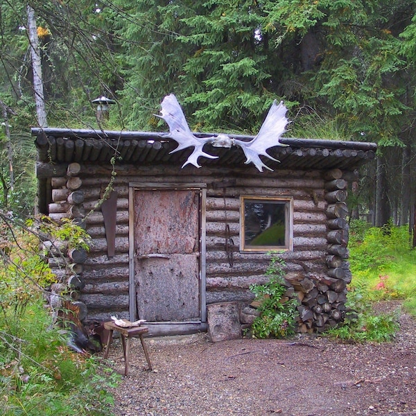 Birch Bark Turtle PDF Pattern - Etsy