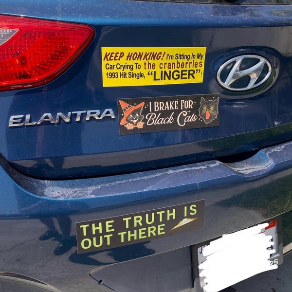 The Cranberries "linger" Bumper Sticker | Keep Honking Vinyl Decal - Etsy