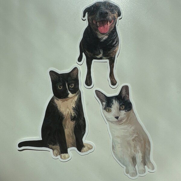 Savannah, Georgia Sticker or Magnet / Travel Sticker / Waterproof Vinyl ...