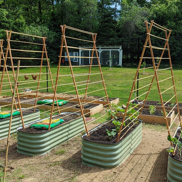 Hardwood Trellis - A Frame, 4ft and 6ft Plant Playground, Fun for ...