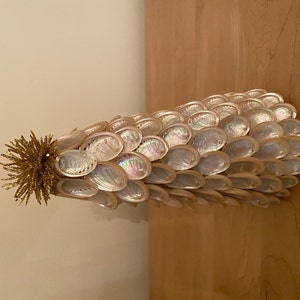 Rose Cups Shell 100 Pcs Small Medium Oval Rose Cup Clam Cockle Shell 1/ ...