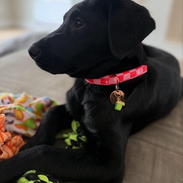 Luxe Blue Sapphire Velvet Key Fob Wristlet | Winter | Rose Gold, Gold ...