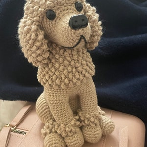 PATTERN english Only: Poodle Puppy Crochet Dog, Crochet Puppy, Crochet ...