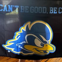 Step Brothers the Interview Flag Step Bros Flag Custom Any Size Funny ...