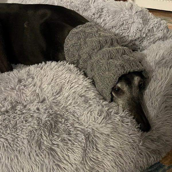 Dog Snood Knitting Pattern/ Written and Chart Instructions / All Sizes ...